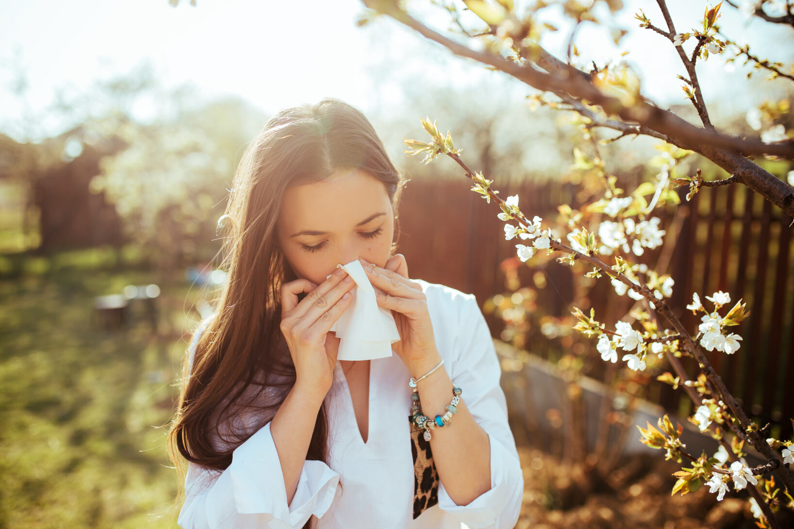 Test Alex - Materdomini